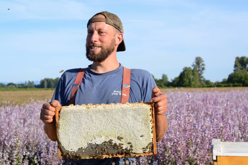How a Migratory Beekeeper Harvests and Extracts Honey from His Fields ...