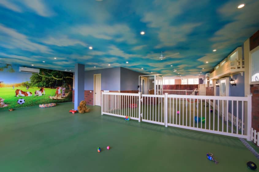 Luxury Pet Hotel - Dog Day Care India Critterati Photos | Apartment Therapy