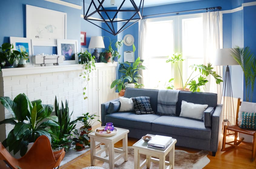 House Tour: Small San Francisco Home Filled With Plants | Apartment Therapy