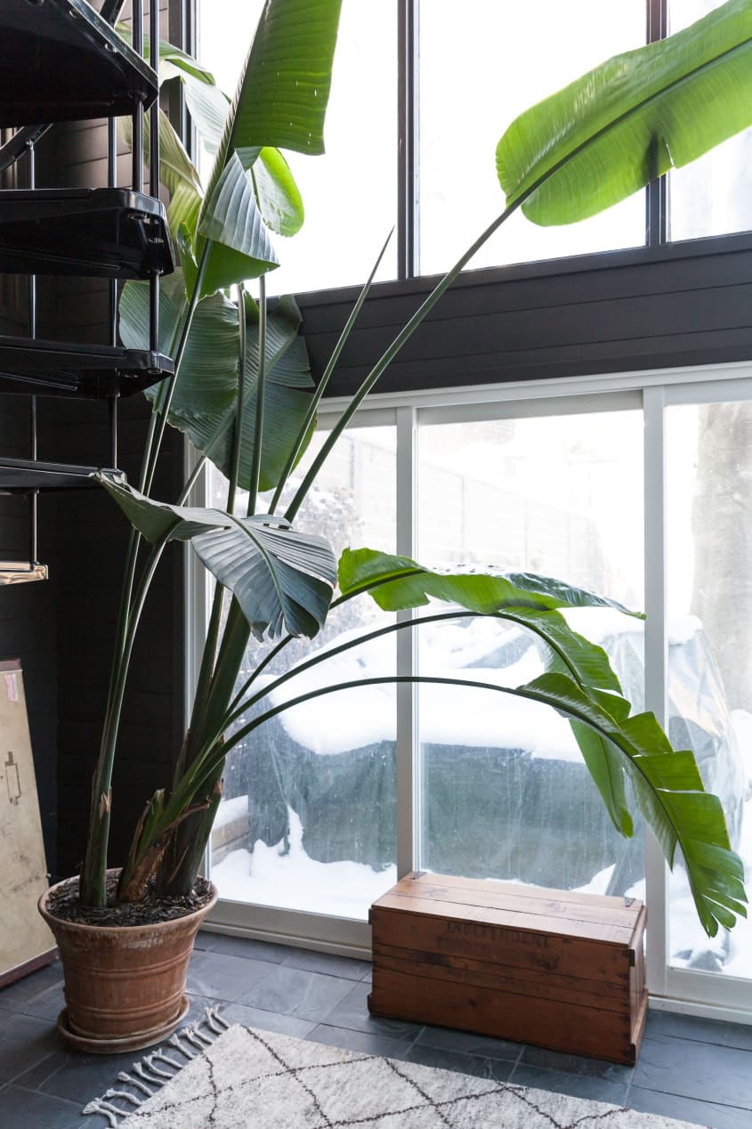 House Tour: A Modern Split Historic Home in Toronto | Apartment Therapy