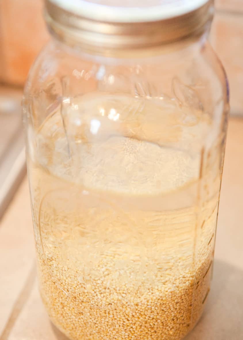 How Sprouted Flour Is Made: A Tour of To Your Health’s Sprouted Flour ...