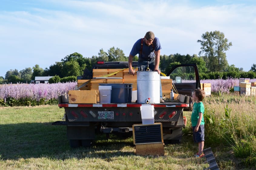 How a Migratory Beekeeper Harvests and Extracts Honey from His Fields ...