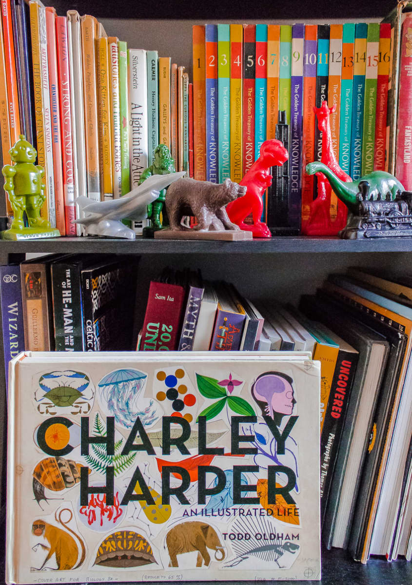 Eclectic Travelers Share Their Life and Apartment in Chicago ...