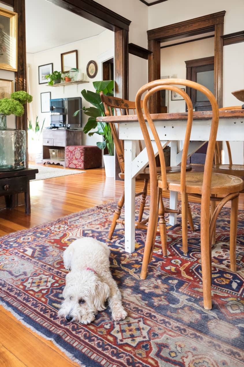 House Tour: A Light and Character-Filled Boston House | Apartment Therapy