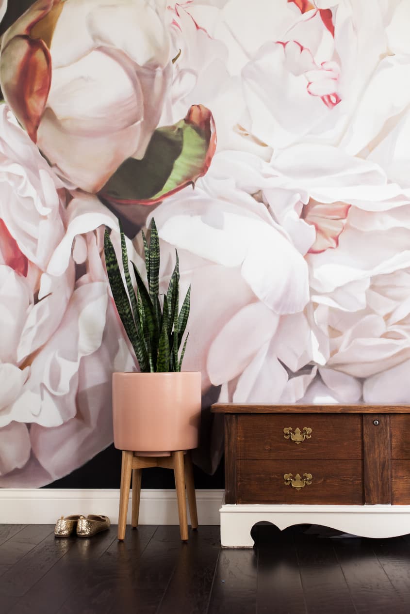 House Tour: A Photographer's High-Contrast Home | Apartment Therapy