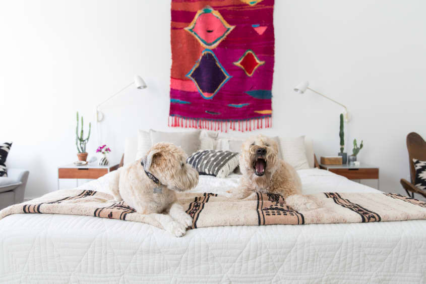 Bohemian Boston Loft Home Tour Photos | Apartment Therapy