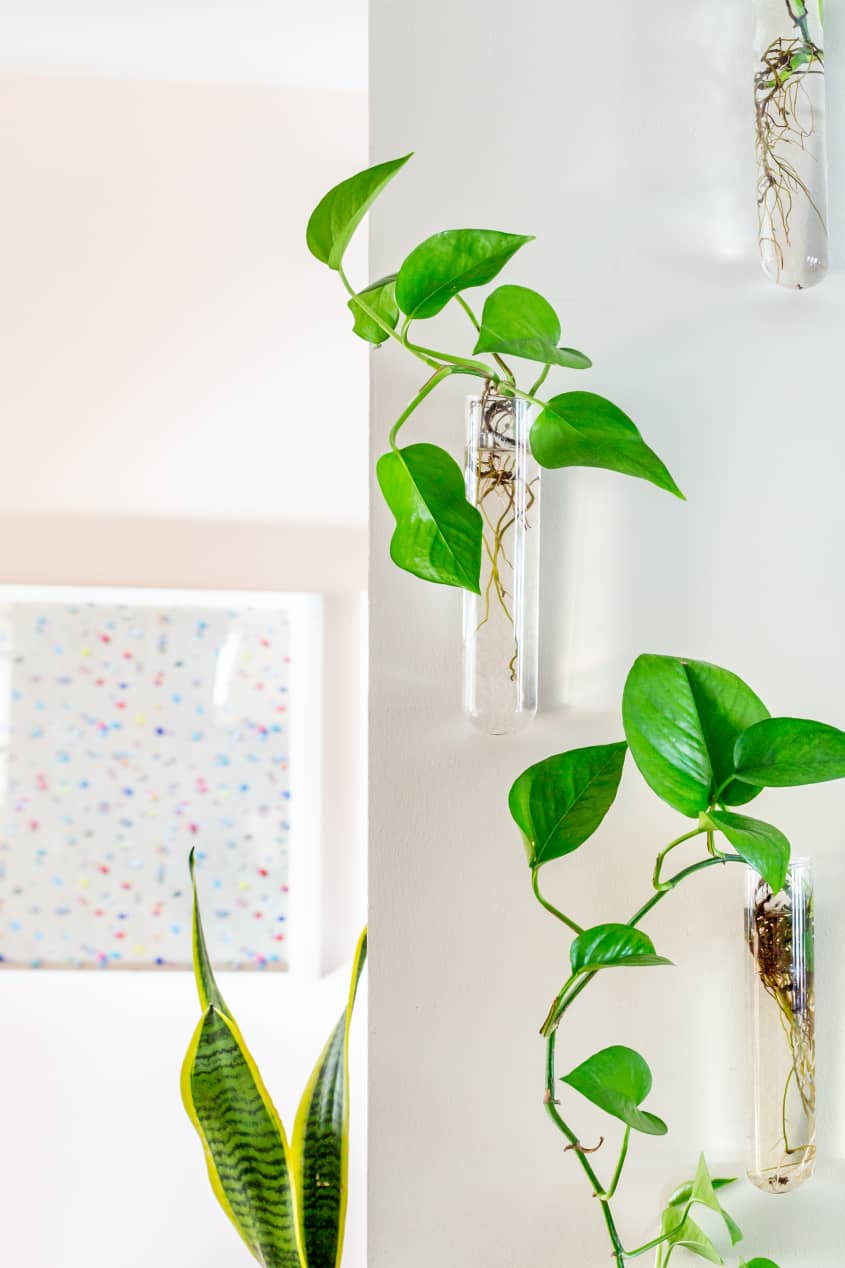 Libby Living Colorfully Maximalist Colorful Apartment Tour | Apartment ...