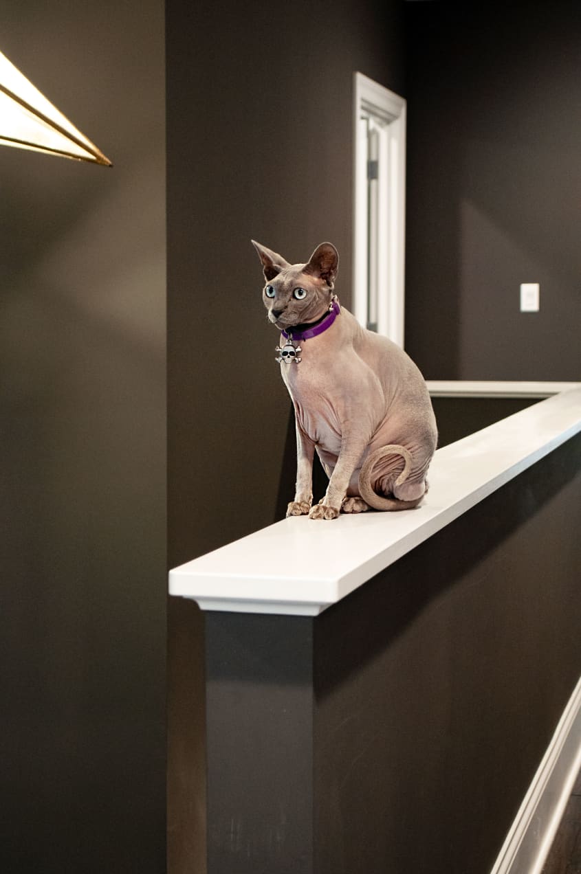 Designer Leslie Sumner St. Louis House Tour | Apartment Therapy