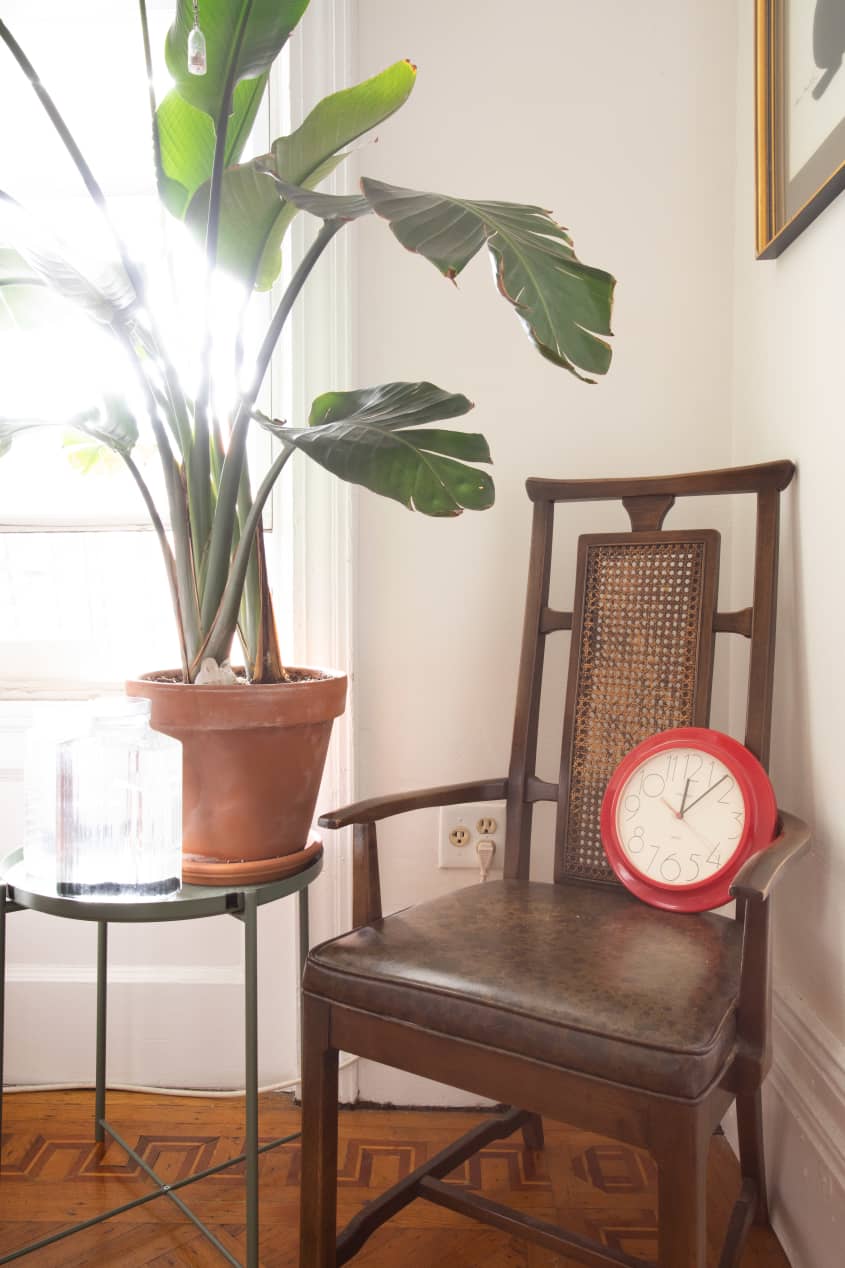 Golde Founder Trinity Mouzon Wofford's Brooklyn Home | Apartment Therapy