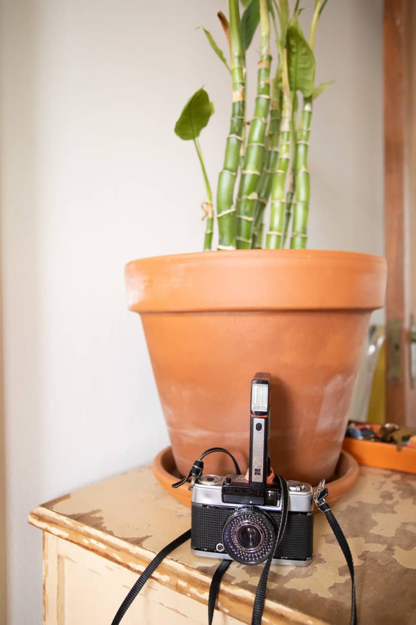 Golde Founder Trinity Mouzon Wofford's Brooklyn Home | Apartment Therapy