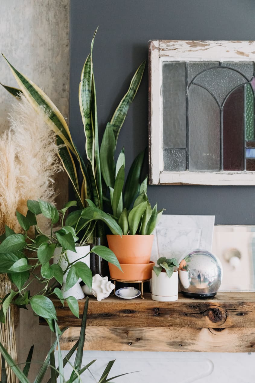 South Philadelphia Home Tour Photos | Apartment Therapy