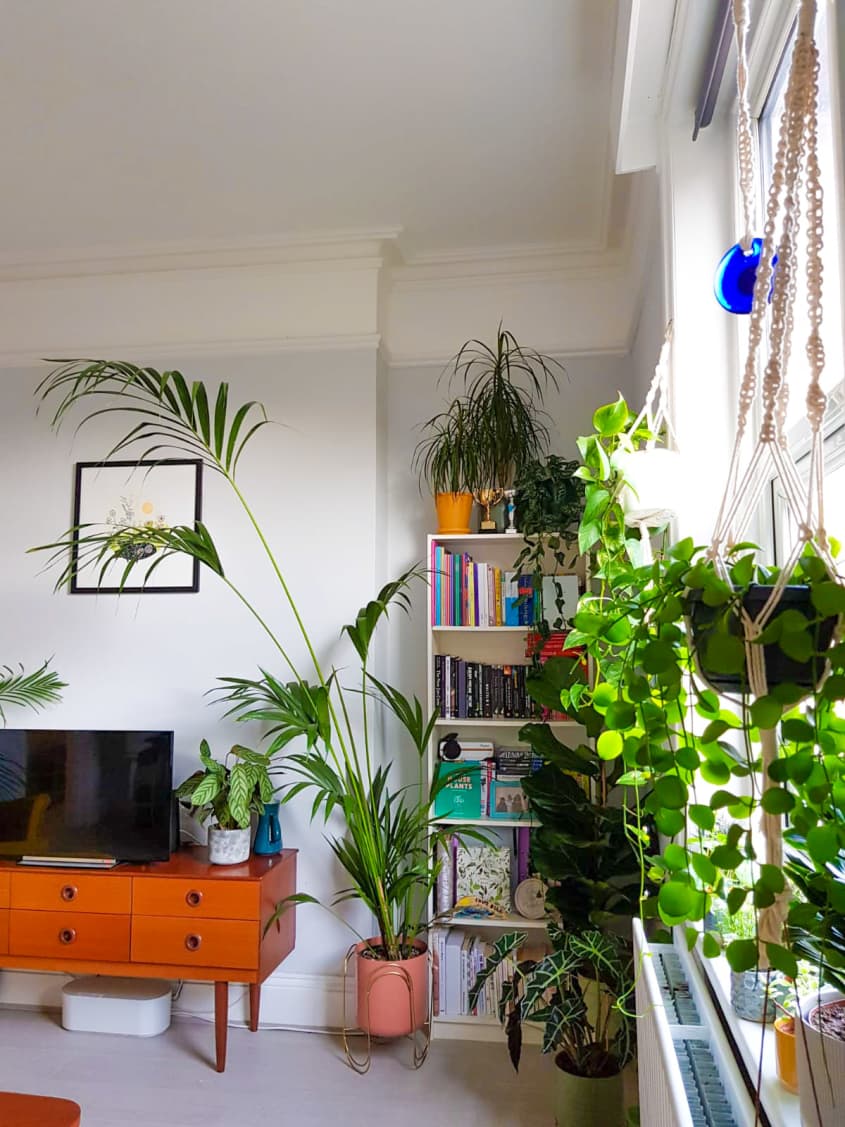 Casa de Modelei London Rental Apartment Tour Photos | Apartment Therapy