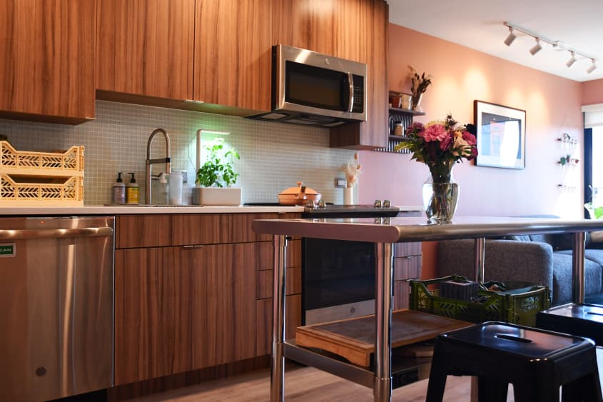 Small Rental Apartment D.C. Tour Photos | Apartment Therapy