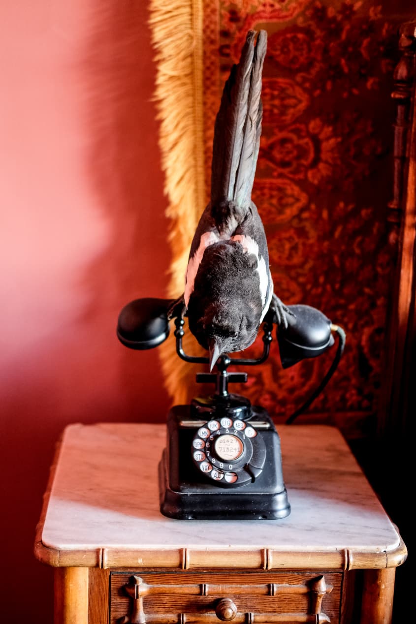 Cassie Nicholas Interior Design Masters Winner House Tour Photos ...