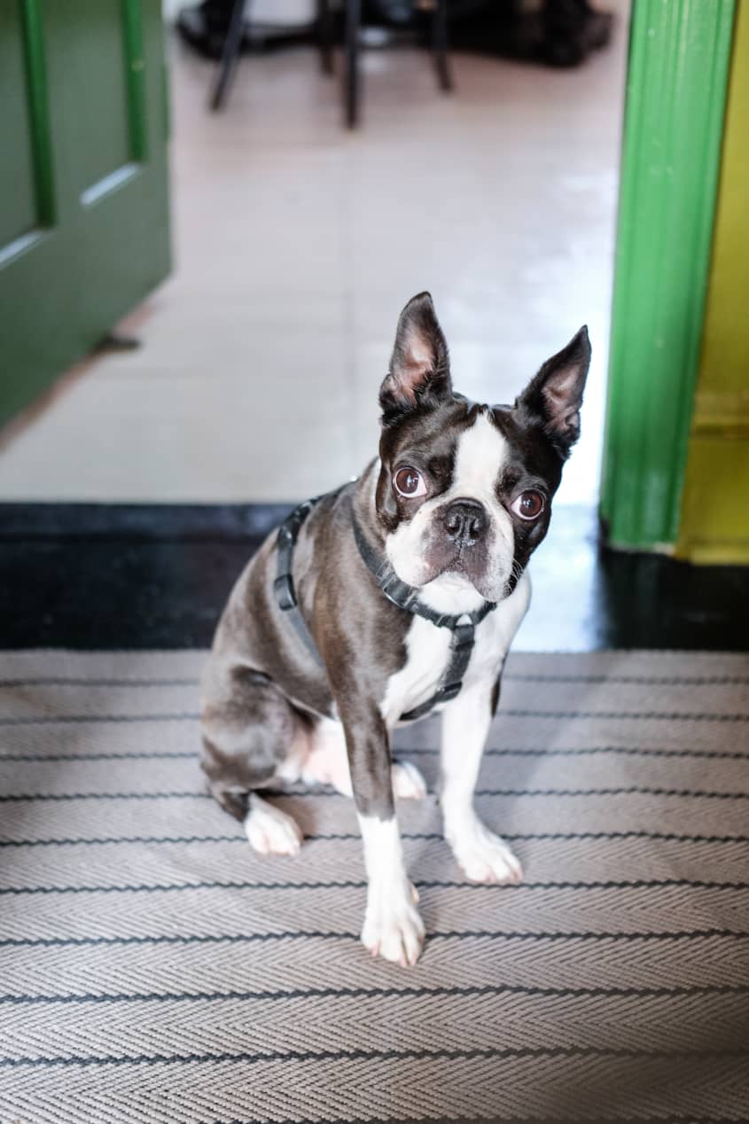 Cassie Nicholas Interior Design Masters Winner House Tour Photos ...