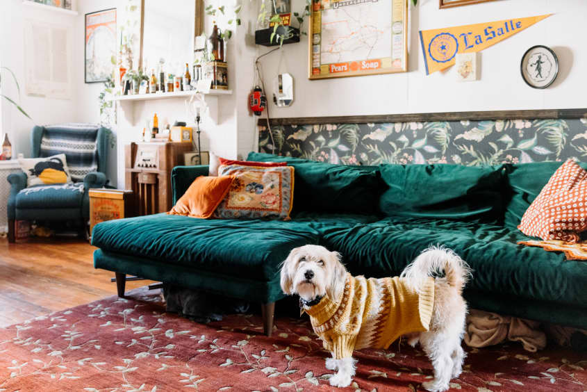 Philadelphia Rental Rowhome Tour Photos | Apartment Therapy