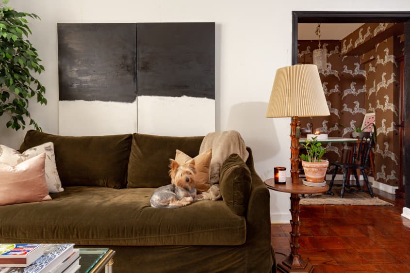 490-Square-Foot D.C. Rental Studio Apartment Photos | Apartment Therapy
