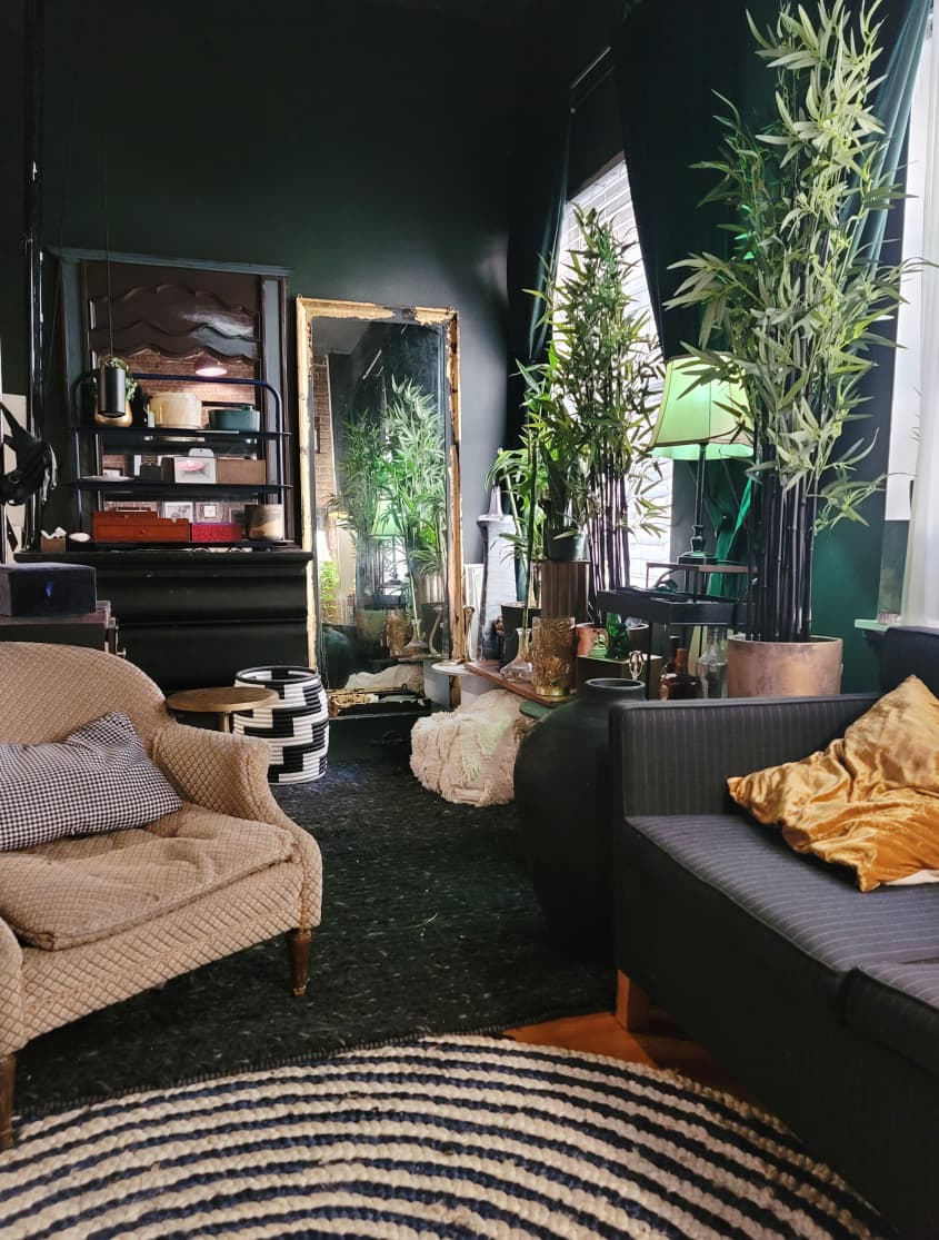 350-Square-Foot Dark and Moody Studio Apartment Photos | Apartment Therapy