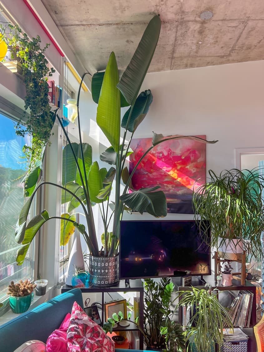 Small, Colorful, DIY-Filled Denver Apartment Photos | Apartment Therapy