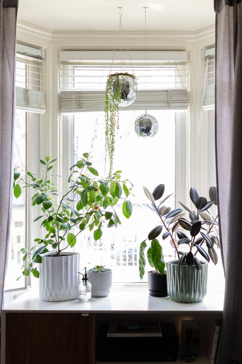 Eclectic Post Modern Toronto Rental Apartment | Apartment Therapy