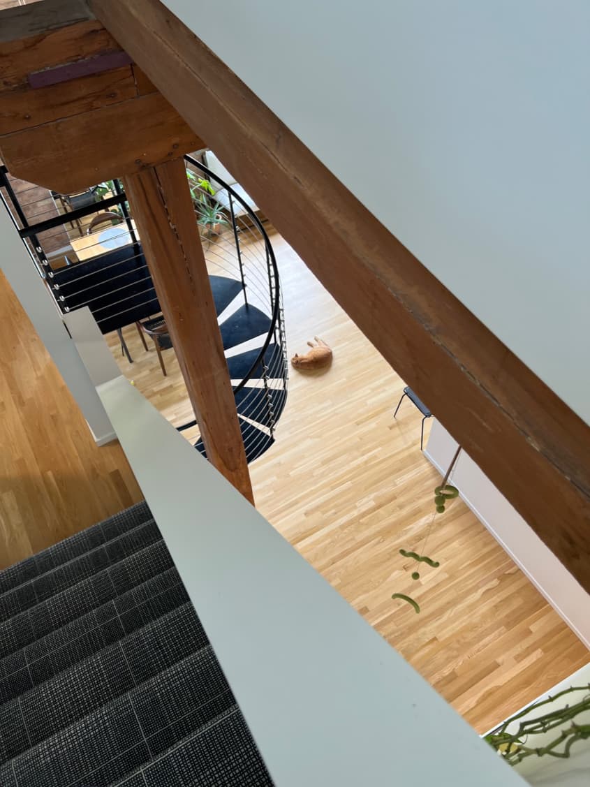 Chicago Fixer-Upper Condo Tour Photos | Apartment Therapy