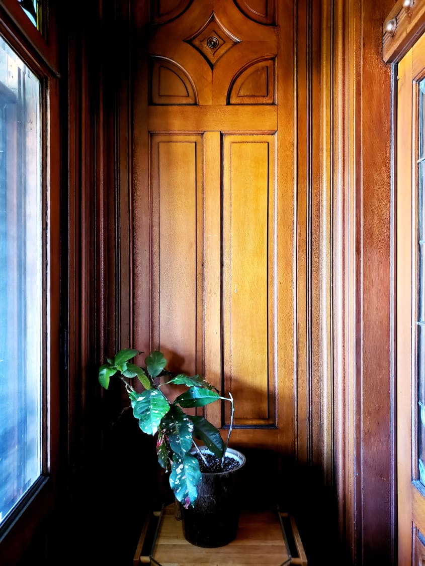 Colorful Cincinnati Apartment Tour Photos | Apartment Therapy