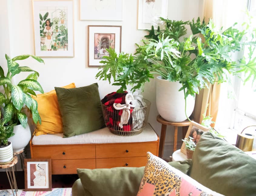 550-Square-Foot Harlem Brownstone Tour Photos | Apartment Therapy