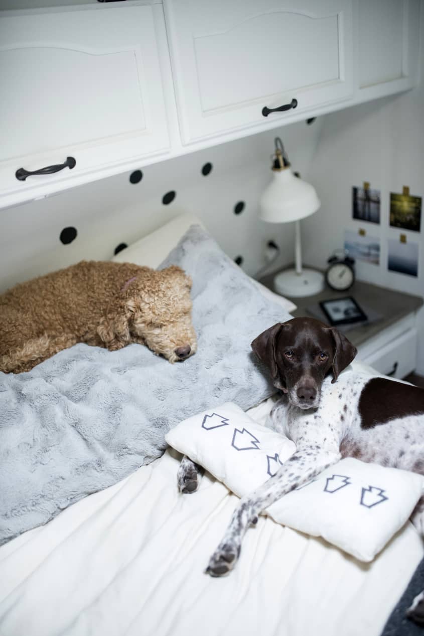 House Tour: A Couple and 4 Pets in a 188-square-foot RV | Apartment Therapy