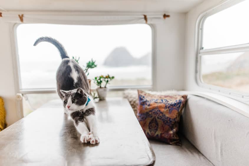 House Tour: A Couple and 4 Pets in a 188-square-foot RV | Apartment Therapy