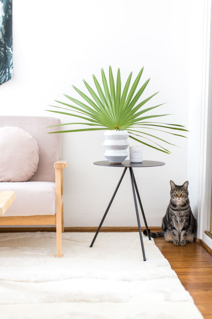 Tour WKNDLA Founder's Minimal LA Home | Apartment Therapy