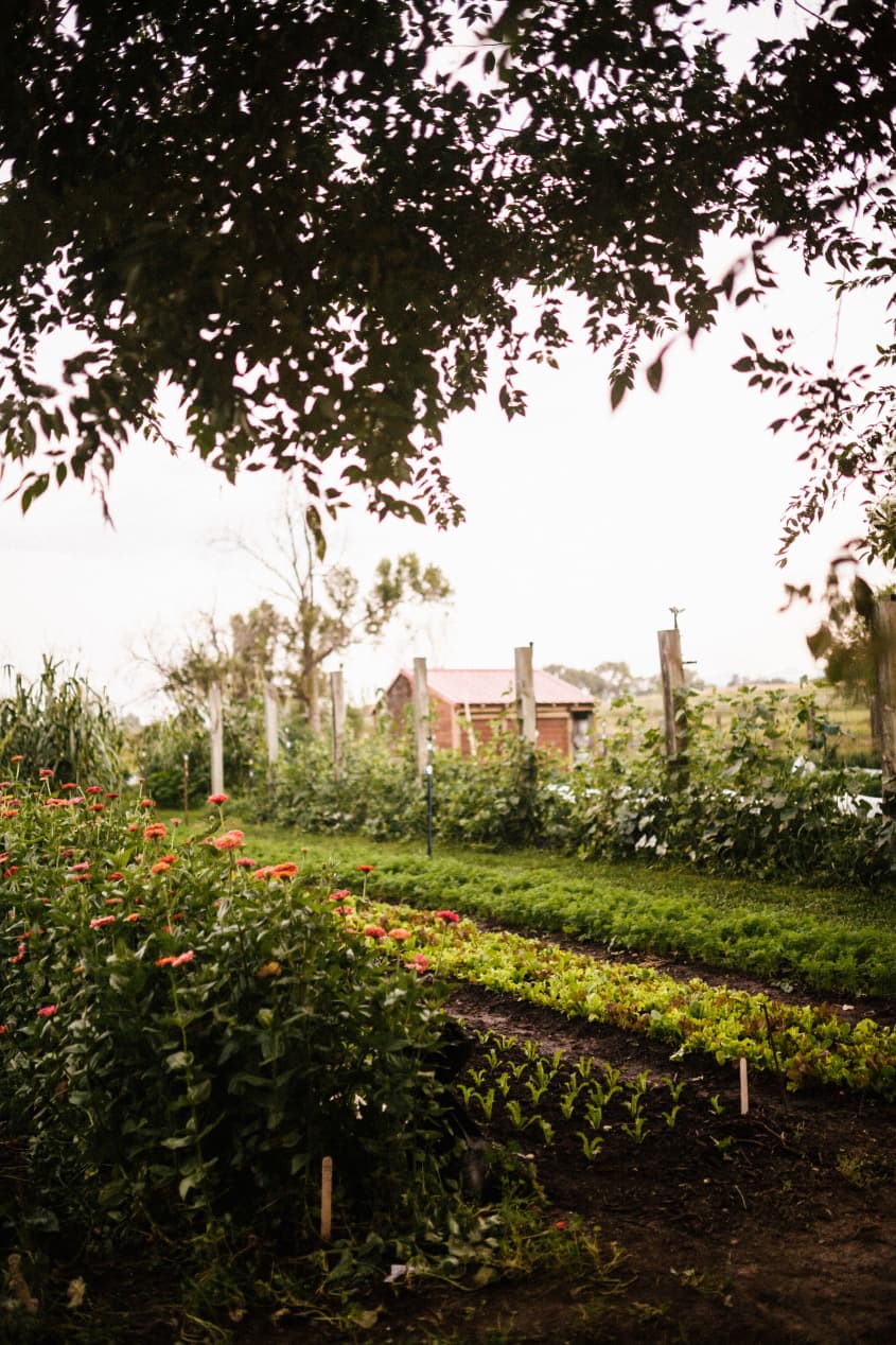 Converted Barn Home Tour of Gregory Alan Isakov | Apartment Therapy