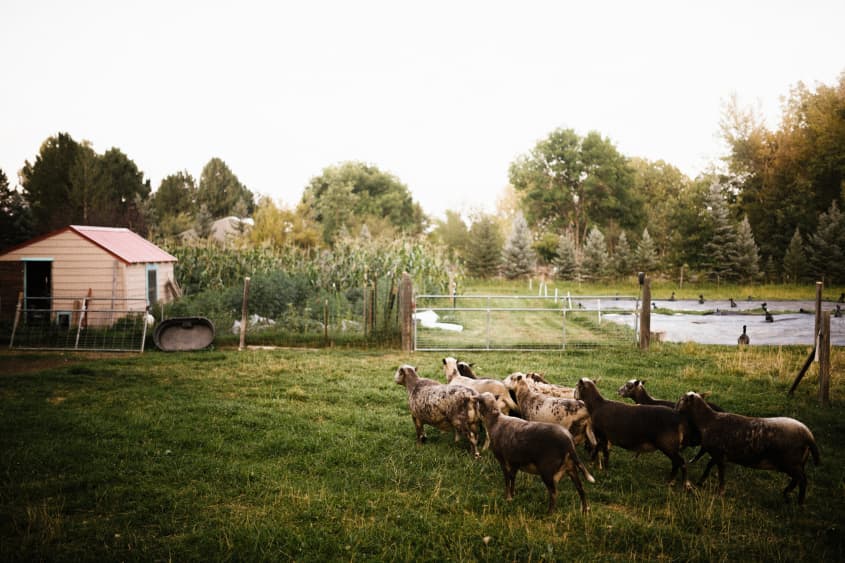 Converted Barn Home Tour of Gregory Alan Isakov | Apartment Therapy