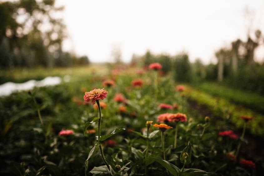 Converted Barn Home Tour of Gregory Alan Isakov | Apartment Therapy
