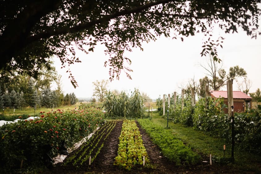 Converted Barn Home Tour of Gregory Alan Isakov | Apartment Therapy