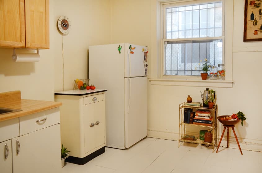 Tour a Chicago Garden Unit Filled with Vintage Finds | Apartment Therapy