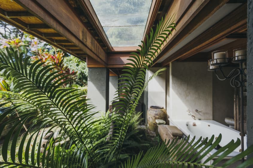 Rustic Bohemian Hawaii Home Surrounded by Jungle | Apartment Therapy
