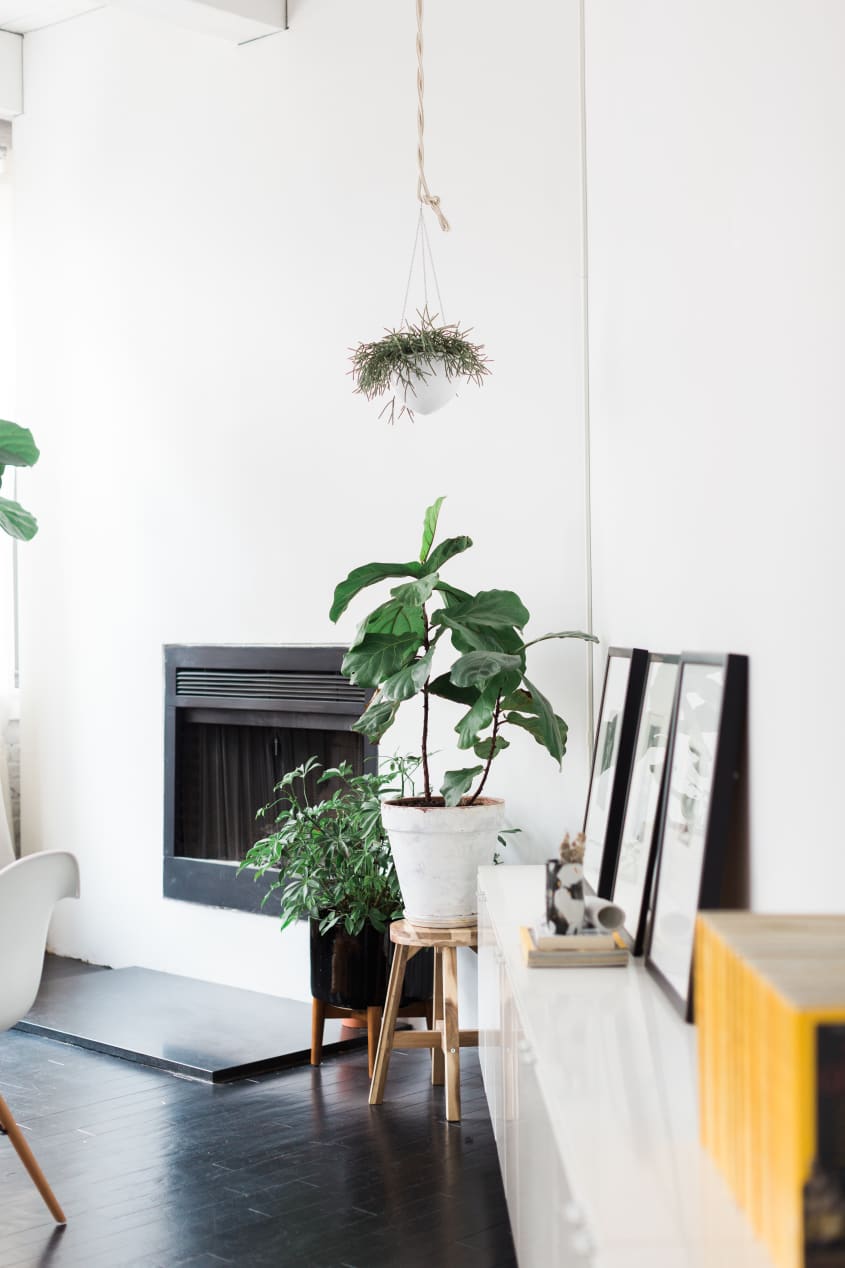 House Tour: A Minimal Plant-Filled Chicago Loft | Apartment Therapy