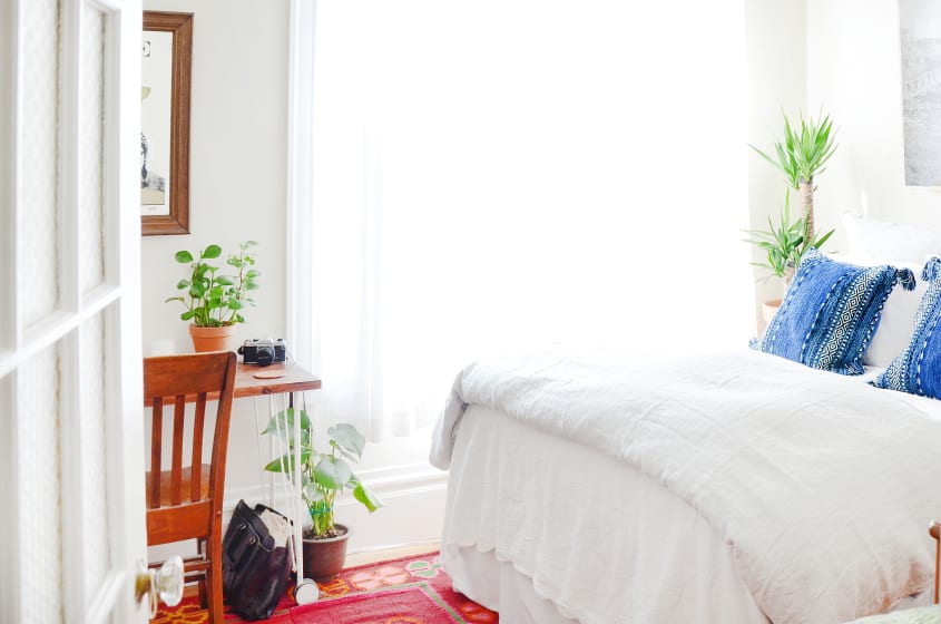 House Tour: Small San Francisco Home Filled With Plants | Apartment Therapy