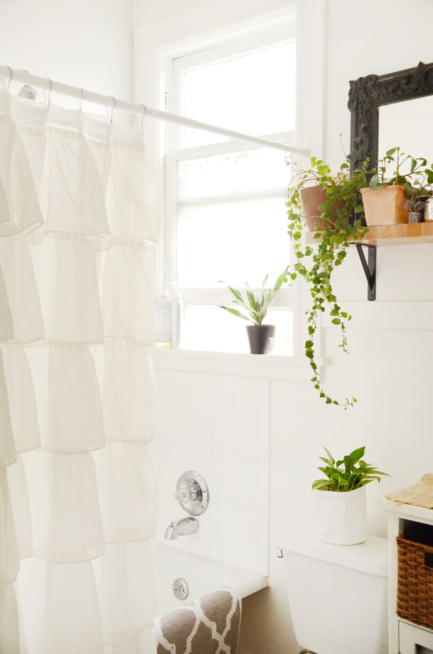 House Tour: Small San Francisco Home Filled With Plants | Apartment Therapy
