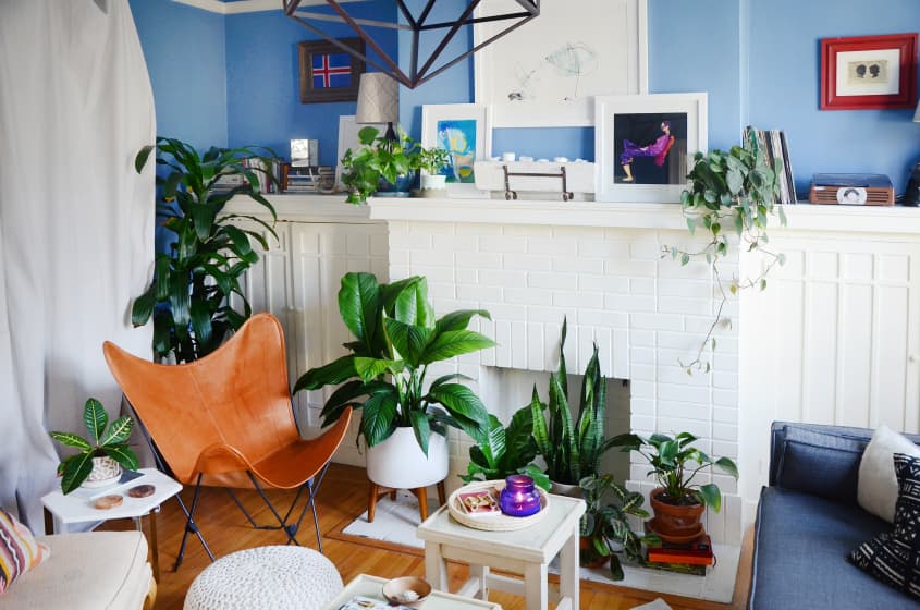 House Tour: Small San Francisco Home Filled With Plants | Apartment Therapy