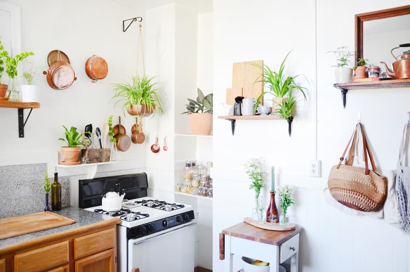 House Tour: Small San Francisco Home Filled With Plants | Apartment Therapy