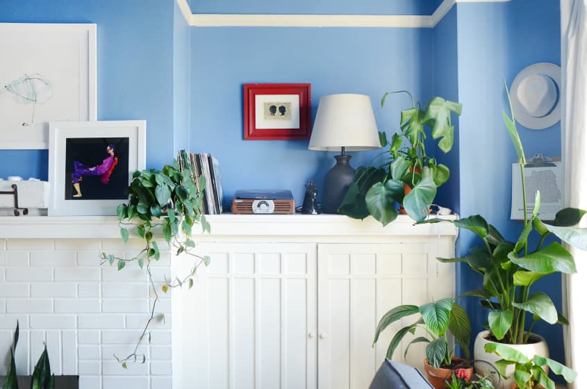 House Tour: Small San Francisco Home Filled With Plants | Apartment Therapy