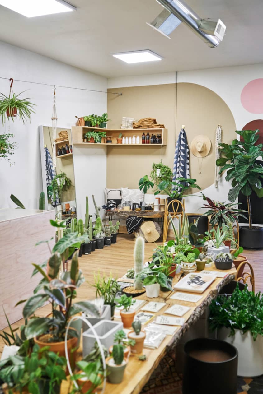 Modern Bohemian Albuquerque Home Photos | Apartment Therapy