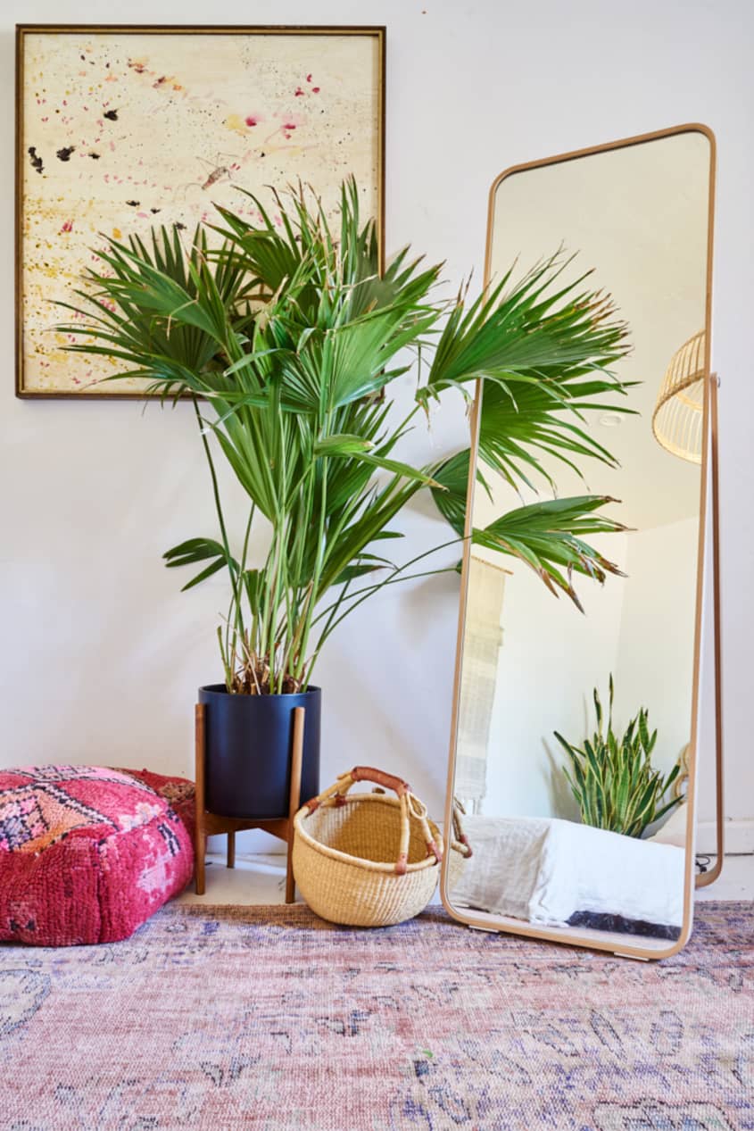 Modern Bohemian Albuquerque Home Photos | Apartment Therapy