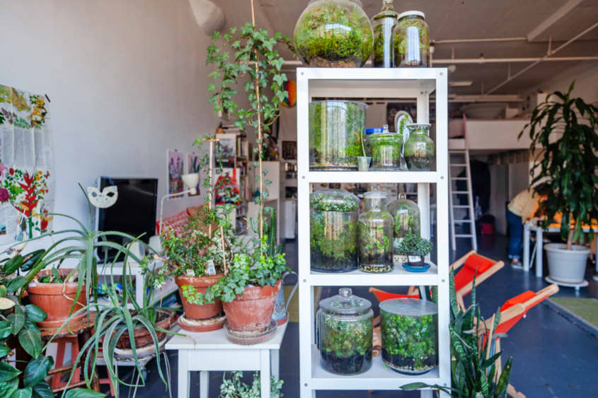 Plant-Filled Industrial Colorful Loft Tour Photos | Apartment Therapy