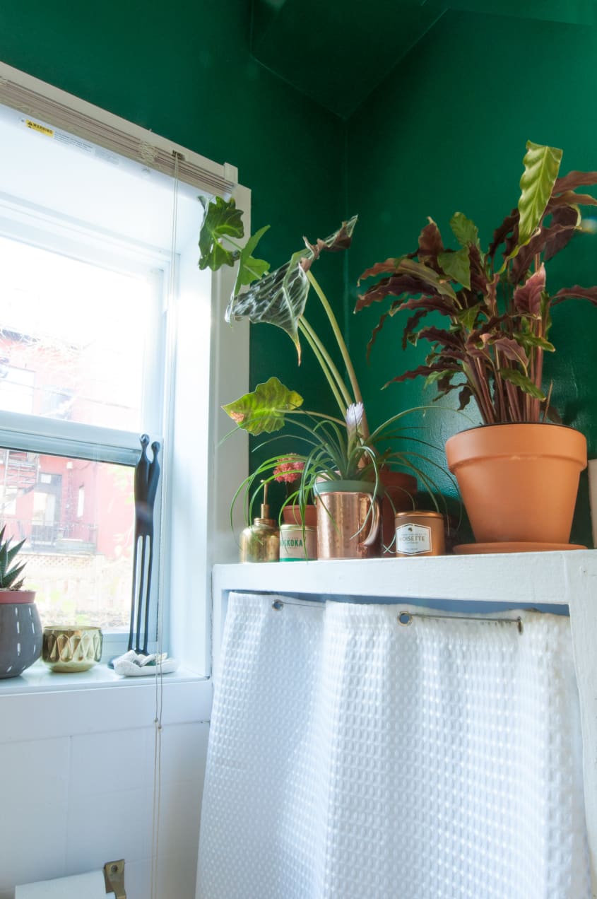 Small Space Ideas in a Tiny, Colorful Montreal Flat | Apartment Therapy