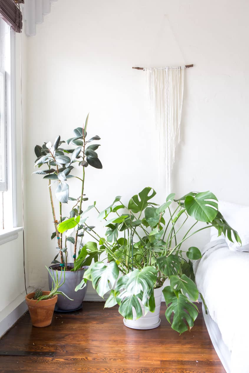 Tour: Lee From America's All-White Minimal LA Studio | Apartment Therapy
