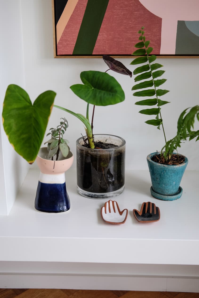 Australia House Tour: Artist Rachel Castle's Fun Home | Apartment Therapy