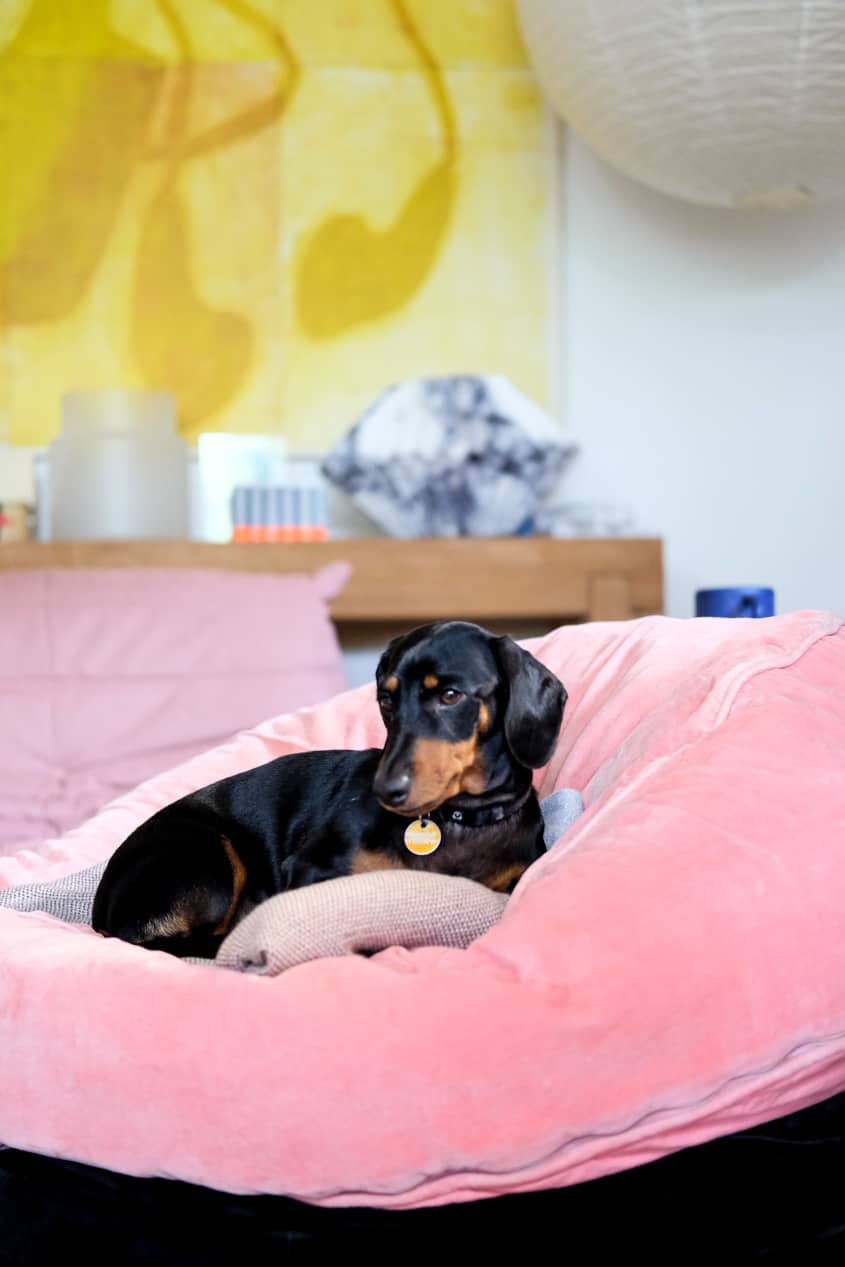 Australia House Tour: Artist Rachel Castle's Fun Home | Apartment Therapy