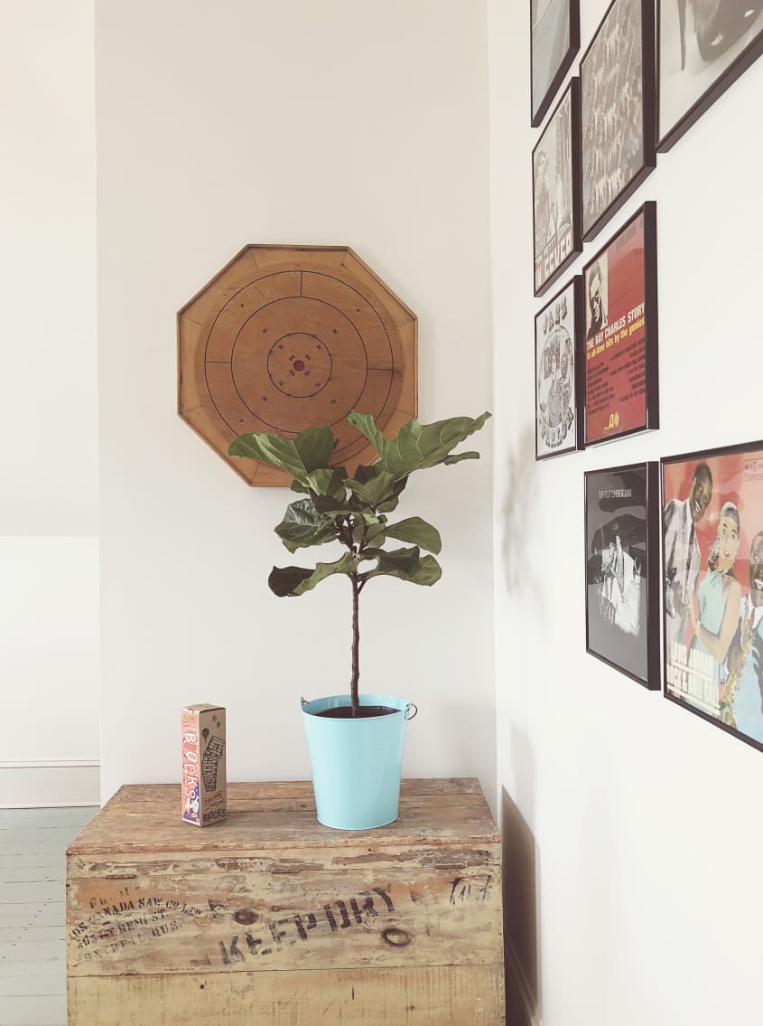 Home Office Tour: Nova Scotia Author Kate Inglis | Apartment Therapy